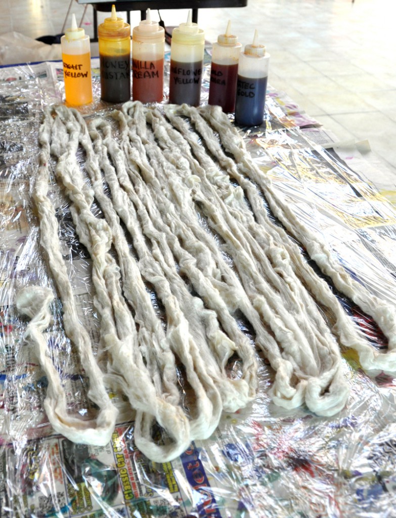 My dyeing process | Pathways at Edgewood Garden